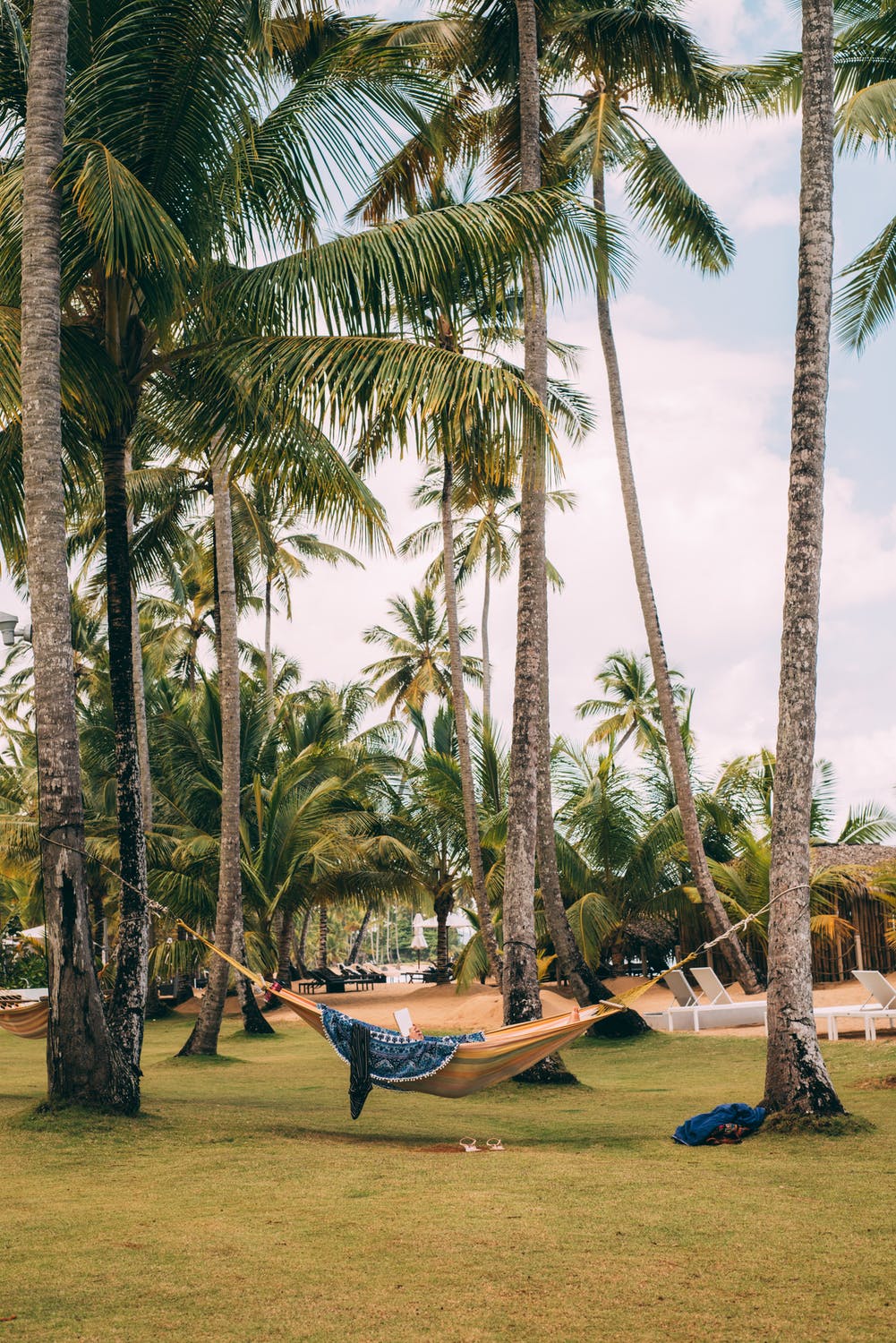 Hammock & Chill – Paradise Prepared